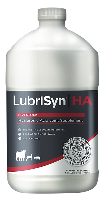 LubriSynLVS Plus Gallon with MSM - LubriSynHA