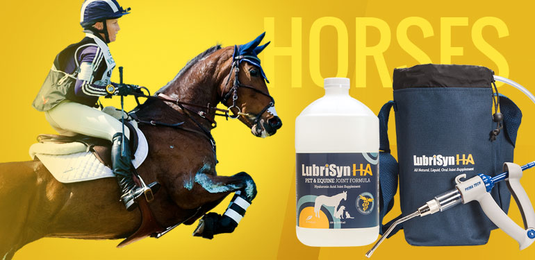 LubriSynHA | Hyaluronan | All-Natural Joint Supplement