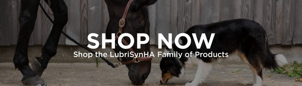 LubriSynHA | Hyaluronan | All-Natural Joint Supplement