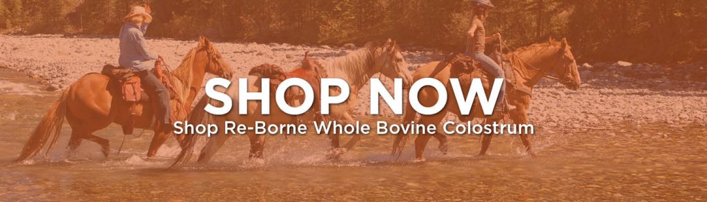 LubriSynHA | Hyaluronan | All-Natural Joint Supplement