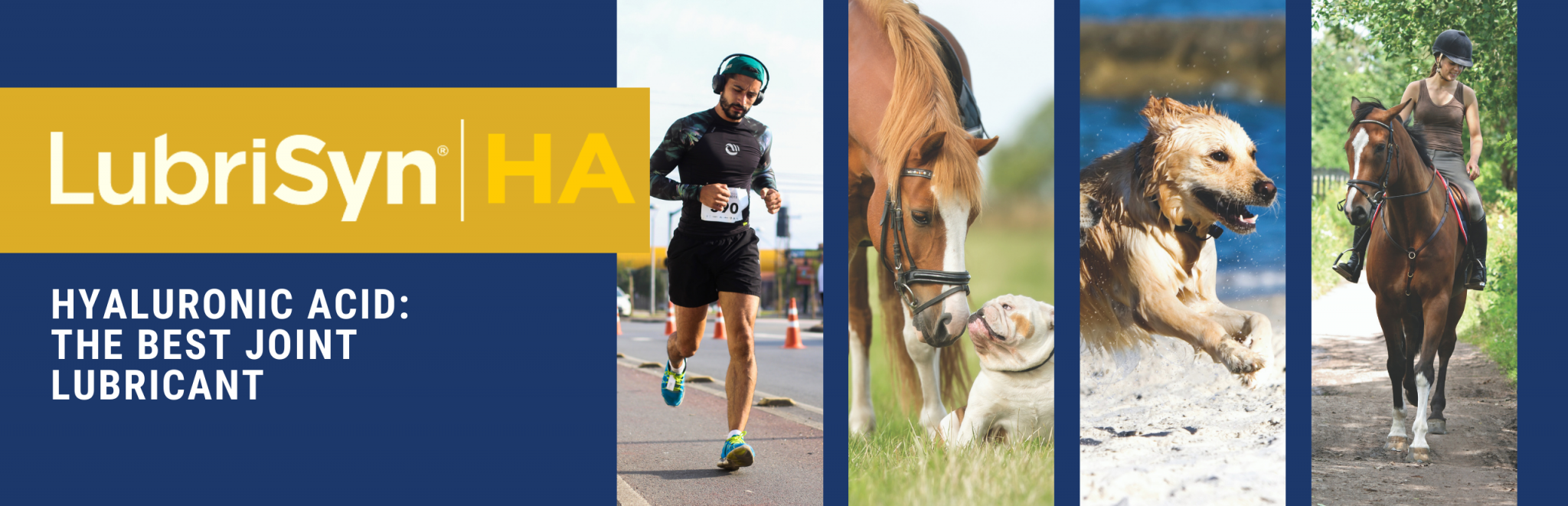 LubriSynHA | Hyaluronan | All-Natural Joint Supplement
